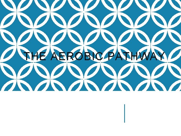 CELLULAR RESPIRATION Revised by Rikki Carr WHAT IS