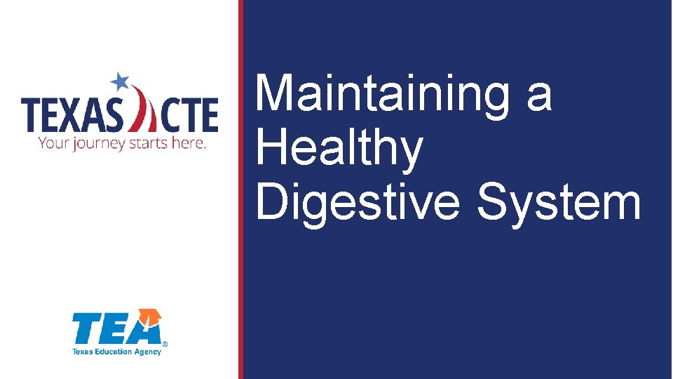 Maintaining a Healthy Digestive System Copyright Texas Education