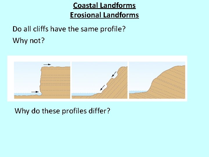Starter Exam Practice Learning objectives To describe and