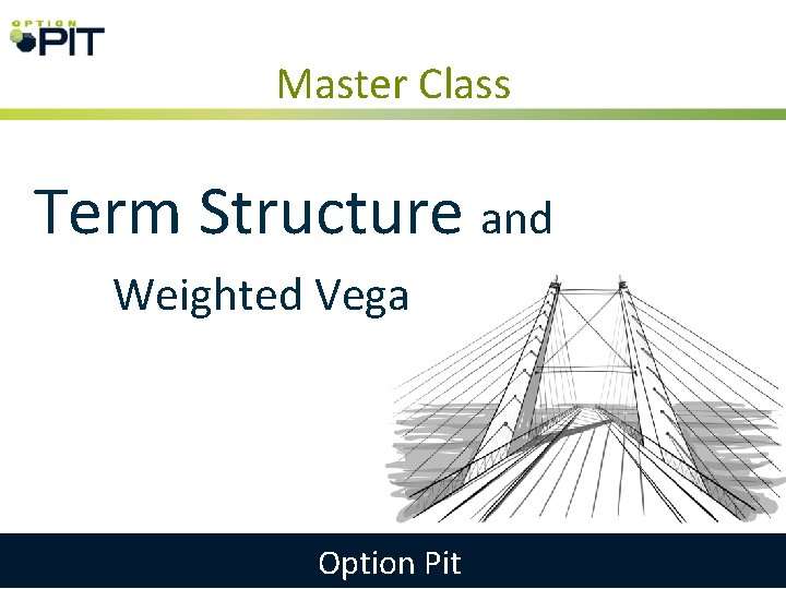 Master Class Term Structure and Weighted Vega Option