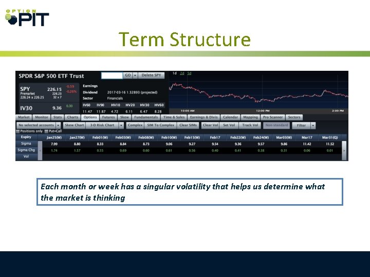 Master Class Term Structure and Weighted Vega Option