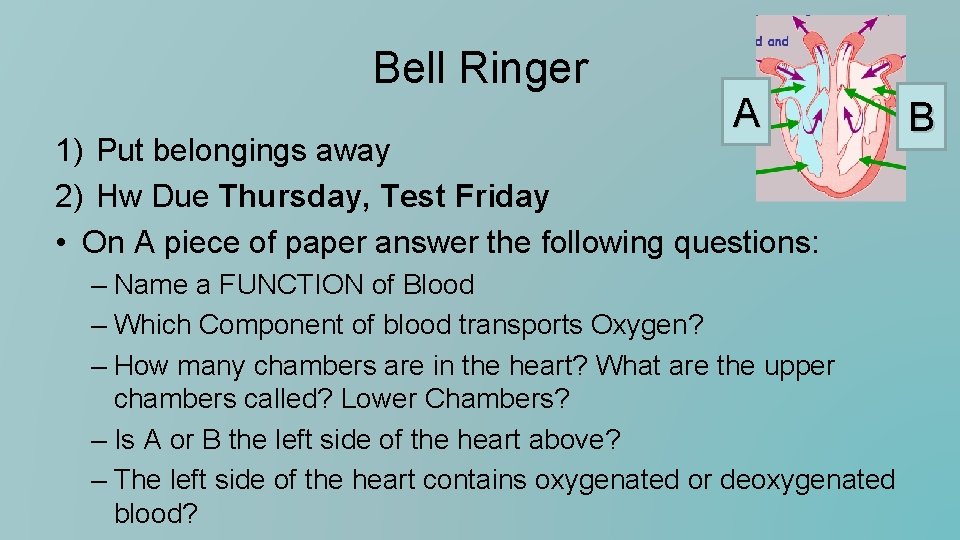 Bell Ringer Period 1 1 Put belongings away