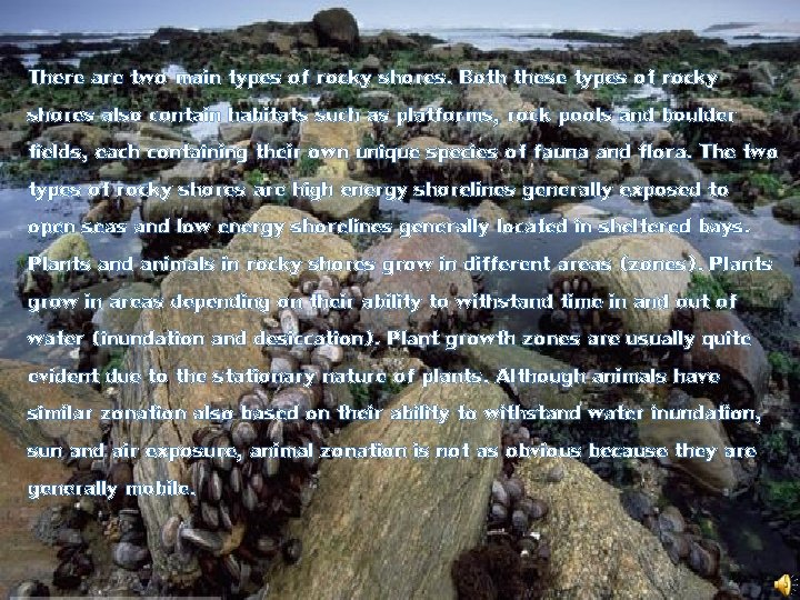 ROCKY SHORE BEACH BIOME Where are Rocky Shore