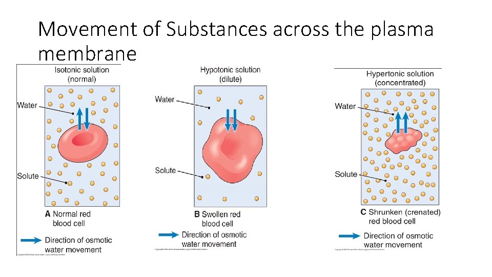 HLTAAP 002 Confirm Physical Health Status Lesson 2