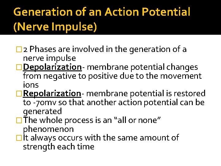 The Physiology of a Nerve Impulse Basic Facts