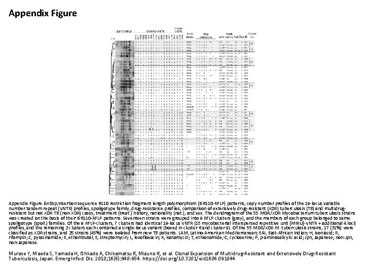 Appendix Figure nbsp Insertion sequence 6110 restriction fragment