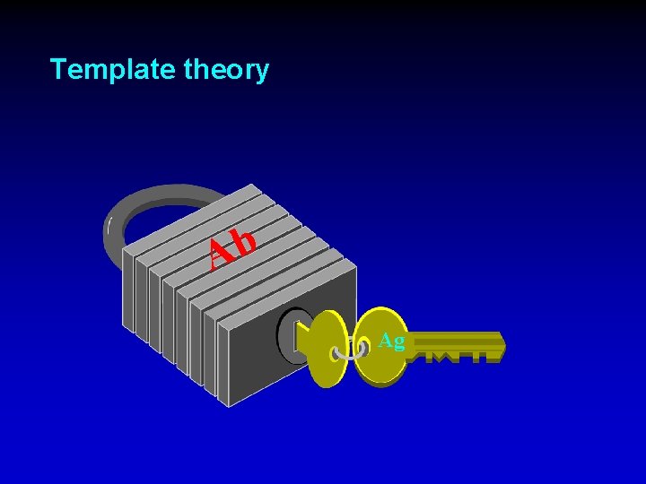 Section 17 B cell recognition and response of