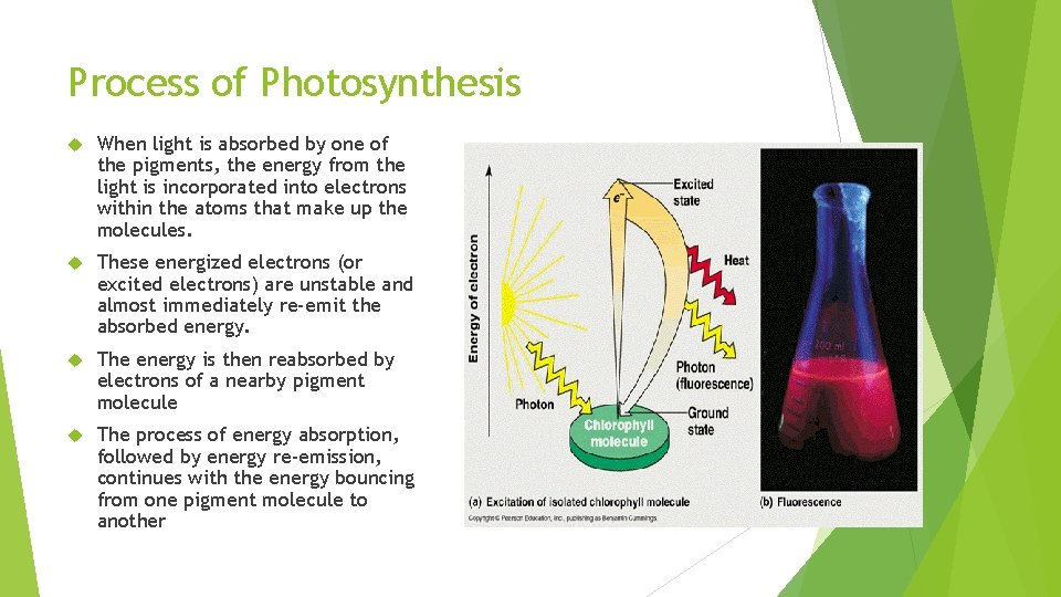 Photosynthesis Photosynthesis Is the process of capturing free