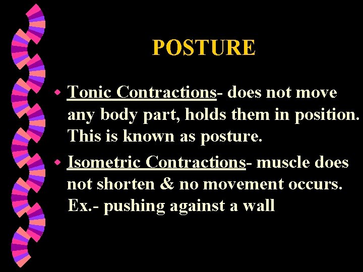 Muscular System Rehab Therapy MUSCULAR SYSTEM w If