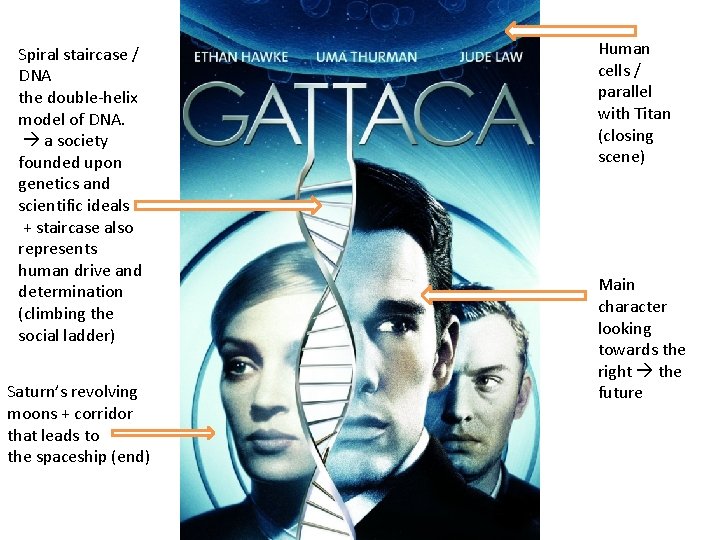 Spiral staircase DNA the doublehelix model of DNA