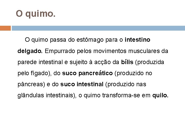 SISTEMA DIGESTIVO Funes vitais Este ano vamos estudar