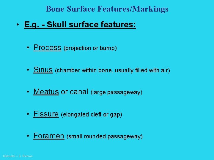AP Lab Week 4 Skeletal System Part 04