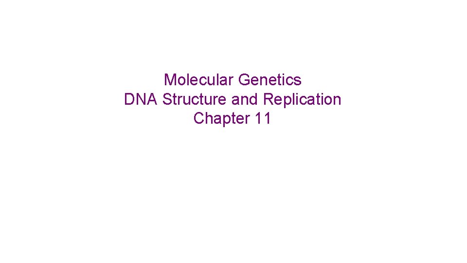 Molecular Genetics DNA Structure and Replication Chapter 11