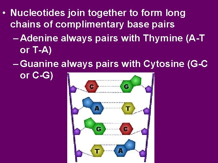 Chapter 11 DNAThe Molecule of Heredity History of