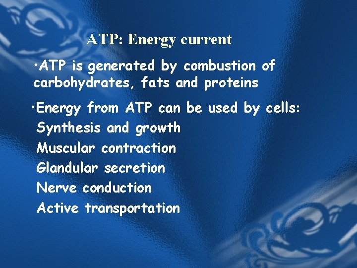 Chapter 6 Energy Metabolism and Body Temperature Section