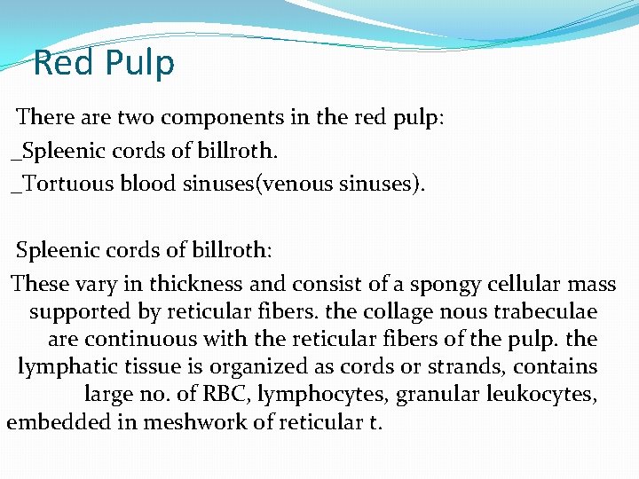 Spleen Largest lymphoid organ located on the left