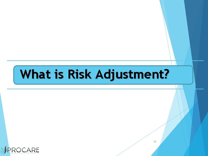Mastering the Basics of RISK ADJUSTMENT Made Clear