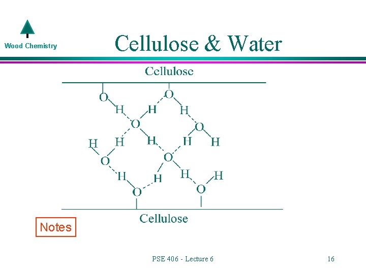 Wood Chemistry PSE 406Chem E 470 Cellulose Lecture