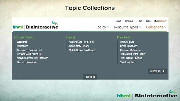 Developing Quantitative Skills Using HHMI Bio Interactive Resources