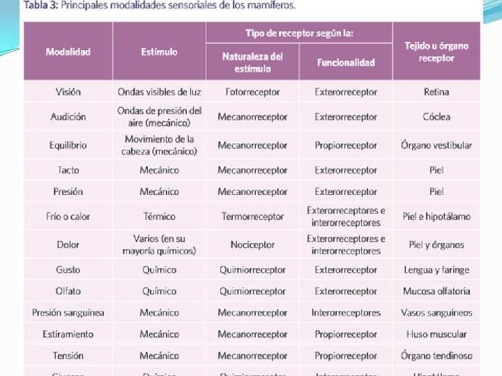 Unidad 3 Sensacin y percepcin OBJETIVO Describir la