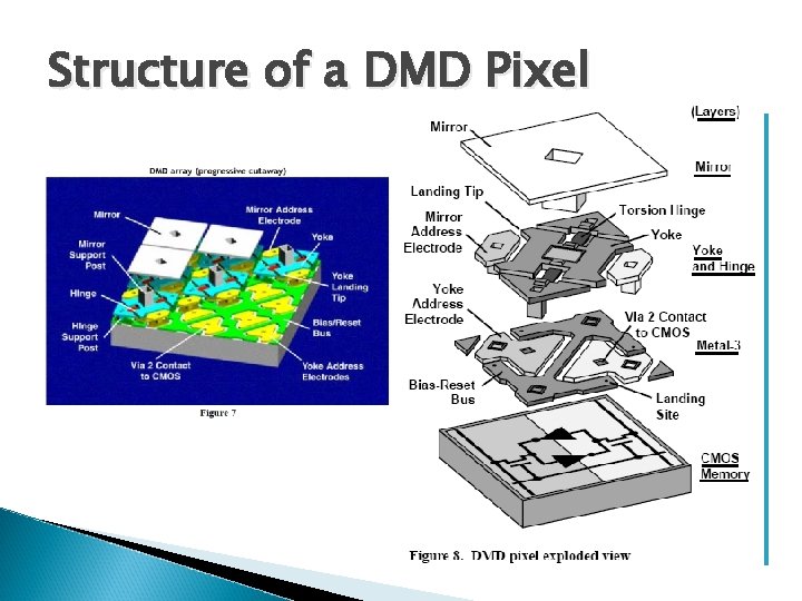 Digital Light Processing Eric Dacquay Brian Freedman Lisa