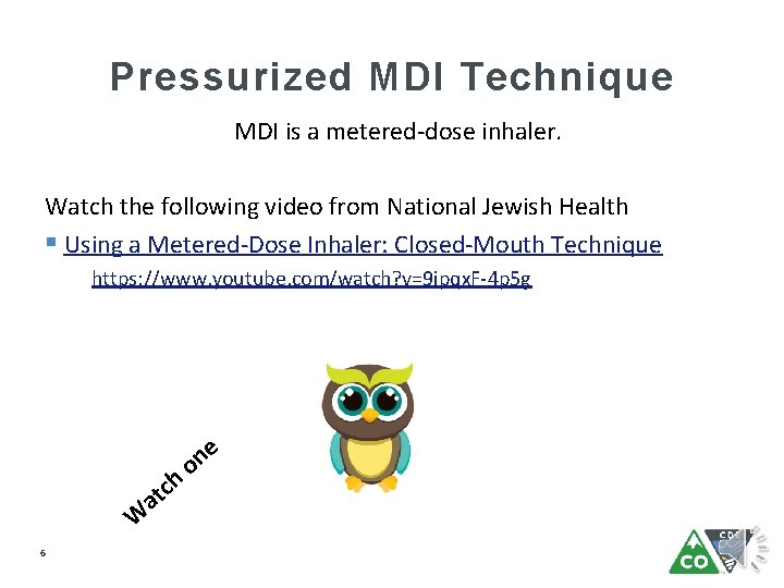 Applying Best Practice Asthma Care in Schools A