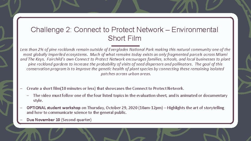 The Fairchild Challenge 2020 21 Complete at least
