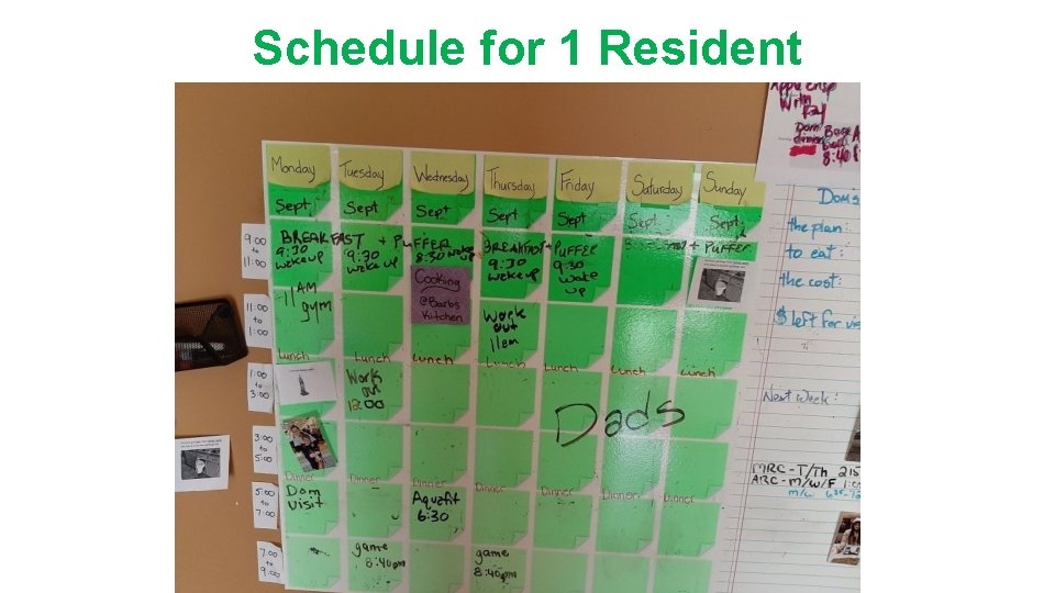 Willow Place A New Way to House Support