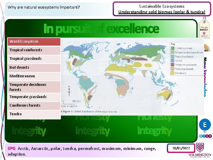 Why are natural ecosystems important Sustainable Ecosystems Understanding