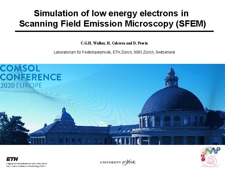 Simulation of low energy electrons in Scanning Field