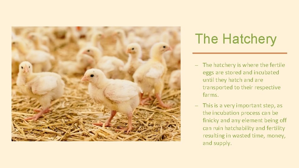 POULTRY SCIENCE Hatchery Operation Unit 11 Poultry Science