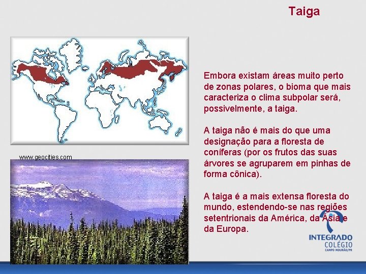 Biomas do Mundo Professor Joo Claudio Alcantara dos