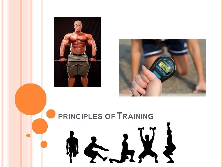 PRINCIPLES OF TRAINING FACTORS INFLUENCING TRAINING POTENTIAL Somatotype