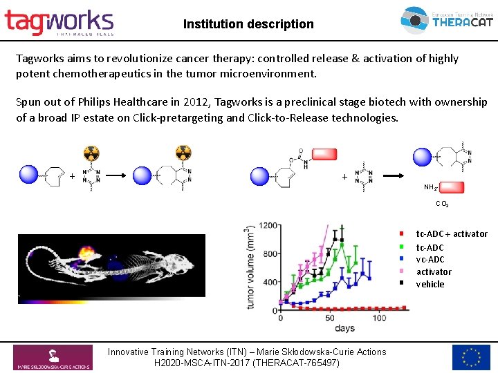 Bioortogonal catalysis for cancer therapy TAGWORKS Presentation MidTerm