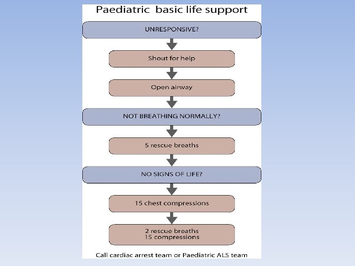 PBLS PALS NLS According to European Resuscitation Council
