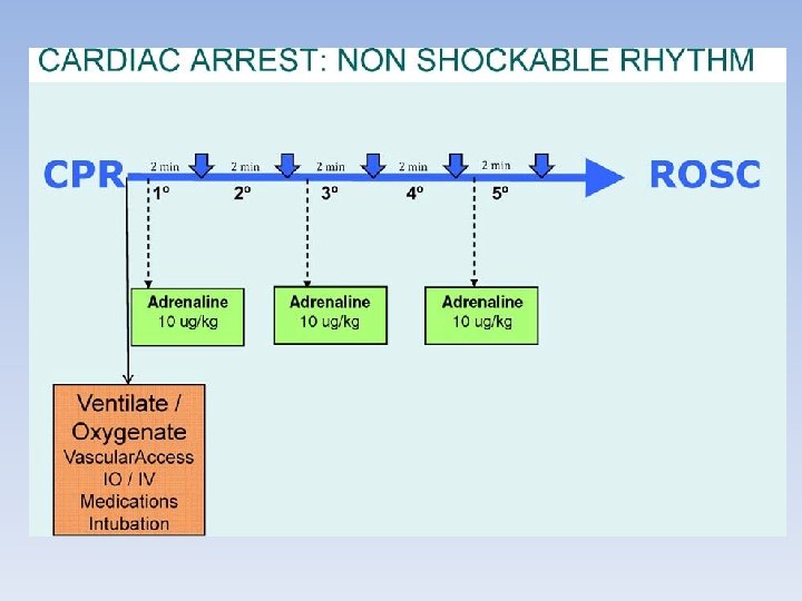 PBLS PALS NLS According to European Resuscitation Council