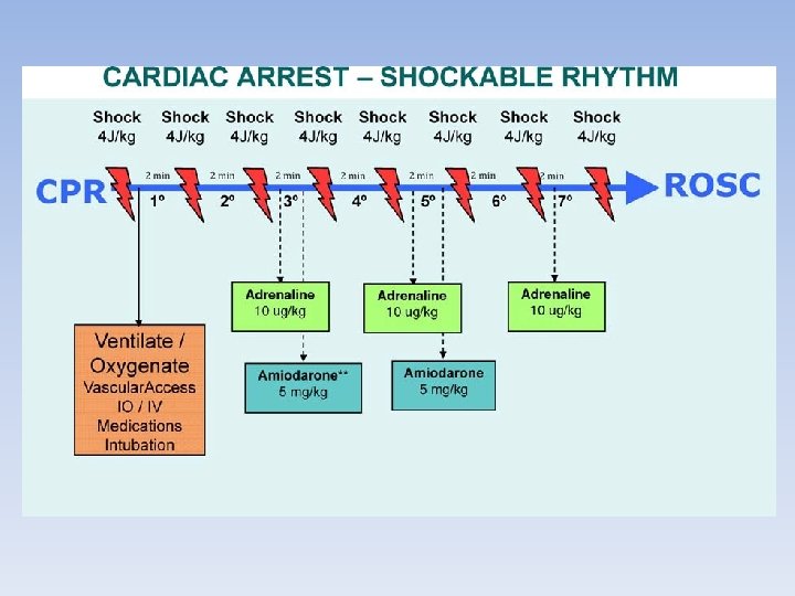 PBLS PALS NLS According to European Resuscitation Council