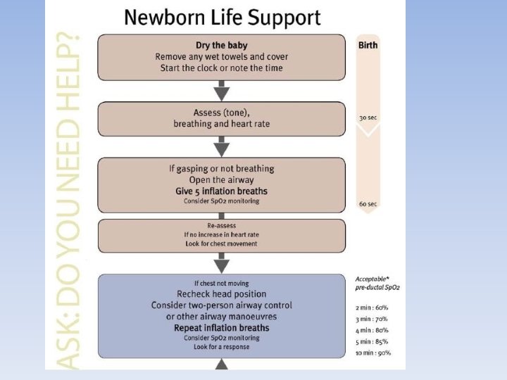 PBLS PALS NLS According to European Resuscitation Council