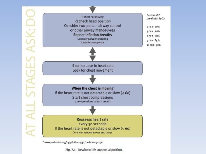 PBLS PALS NLS According to European Resuscitation Council