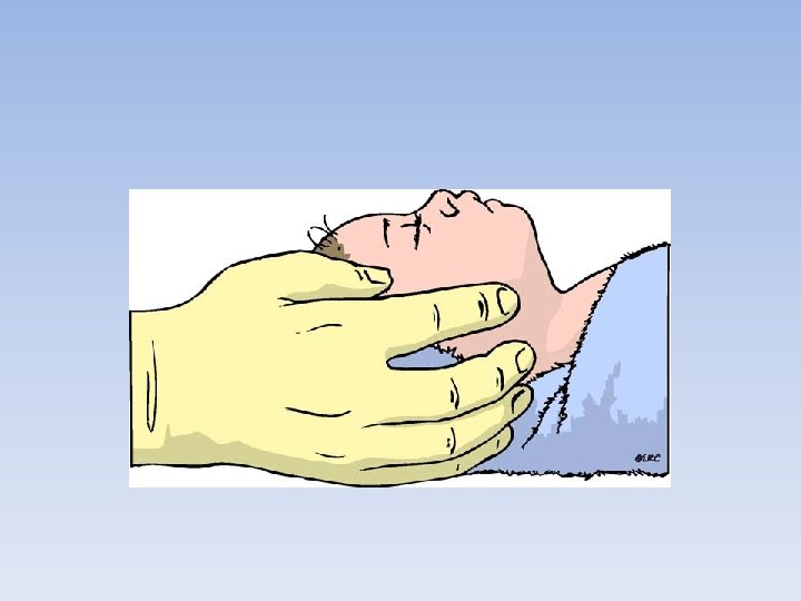 PBLS PALS NLS According to European Resuscitation Council