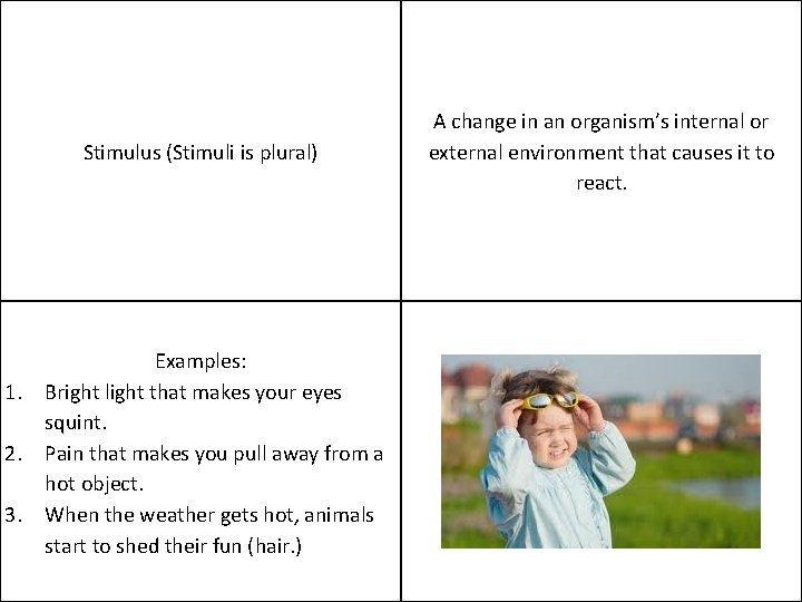 Biology The root bio means life The root