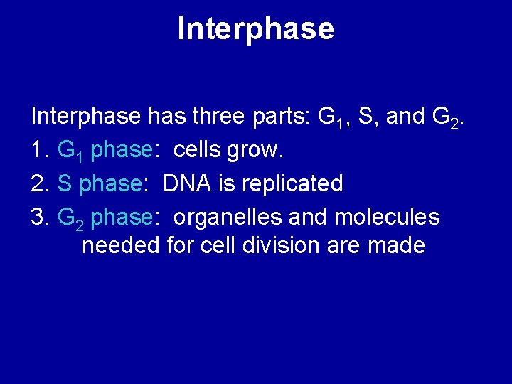 Cell Growth and Division The blue whale is
