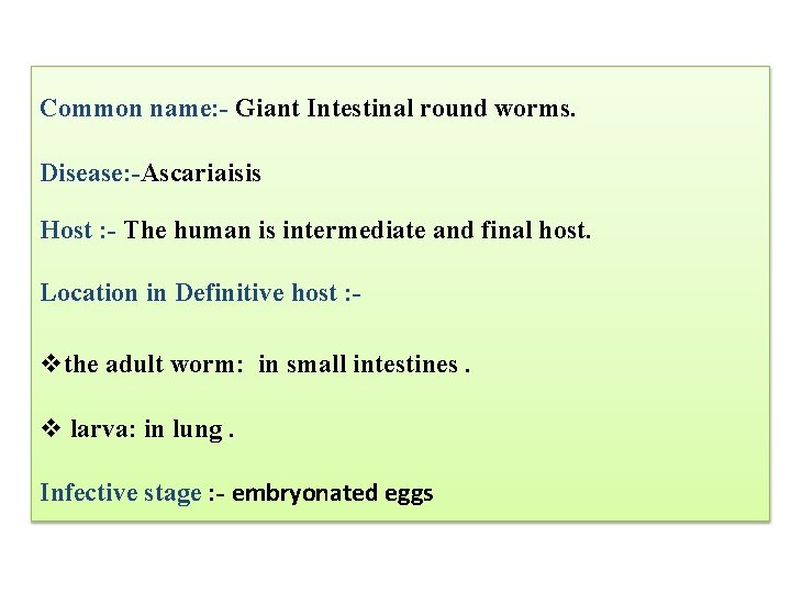 Round worms INTRODUCTION Ascaris lumbricoides is the largest