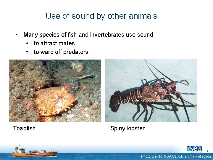 Marine environmental awareness course Underwater noise Name Date