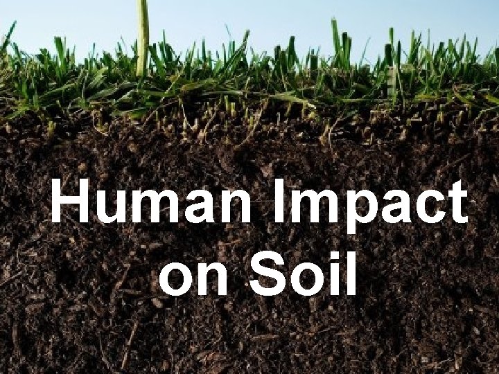 Human Impact on Soil Essential Questions How does
