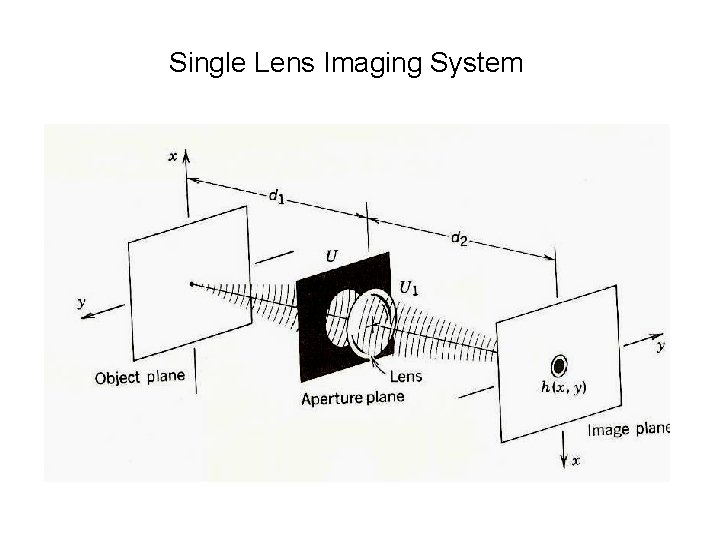Single Lens Imaging System Retina Photoreceptors Neurons Cone