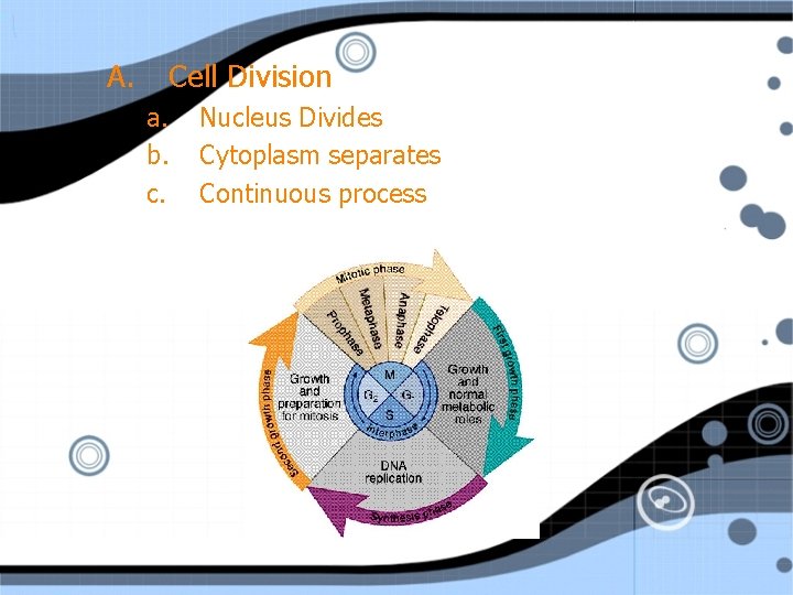 Cell Reproduction 4 1 Cell Growth and Division