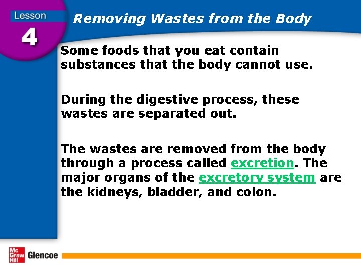 The Digestive and Excretory Systems In this lesson