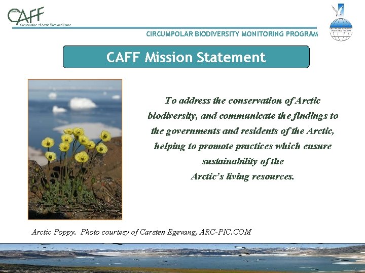 CIRCUMPOLAR BIODIVERSITY MONITORING PROGRAM CARMA the Arctic Council