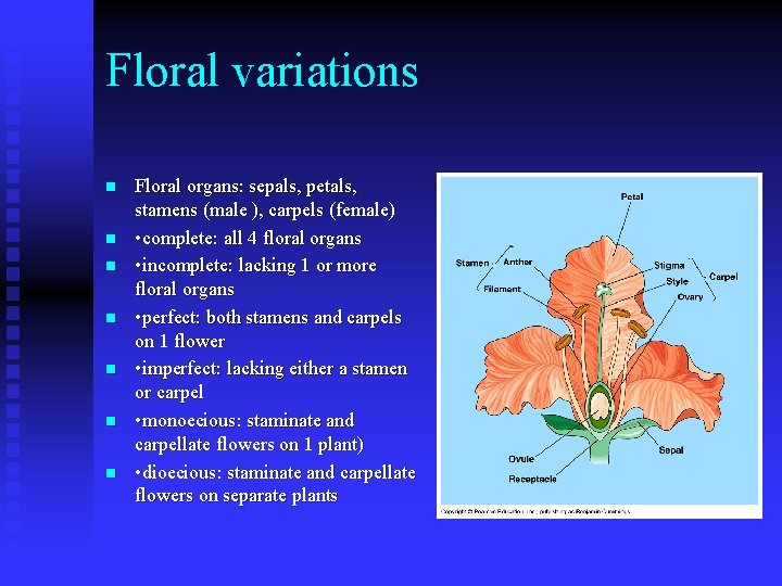 AP Biology Chapter 38 Plant Reproduction and Development